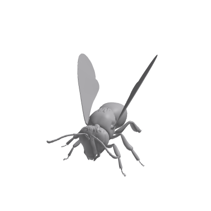 Bee