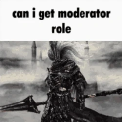 mod role
