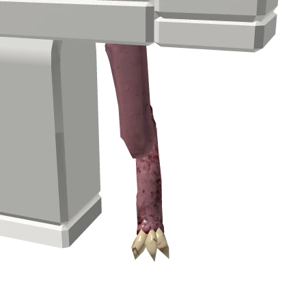 Body - Left Leg | Roblox Item - Rolimon's