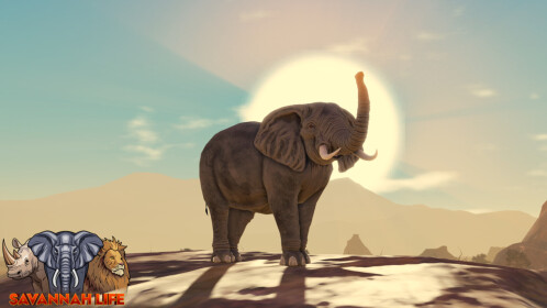 [鍊] Cuộc sống Savannah - Roblox