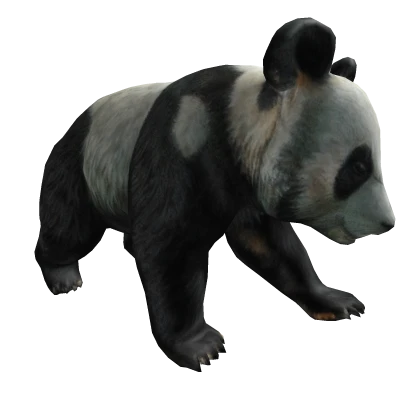 Cute Funny Panda Pet | Roblox Item - Rolimon's