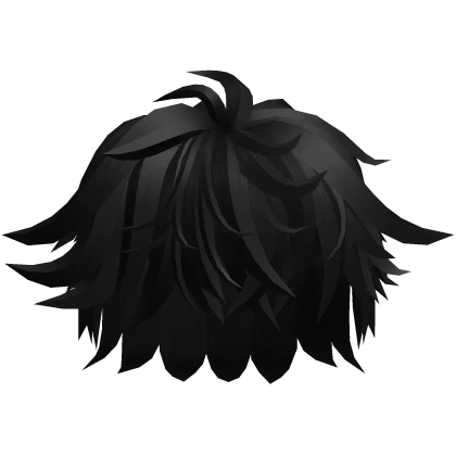 Fluffy Messy Hair(Black) | Roblox Item - Rolimon's