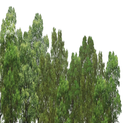 rees (Background use)