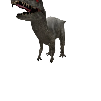 Asset Preview