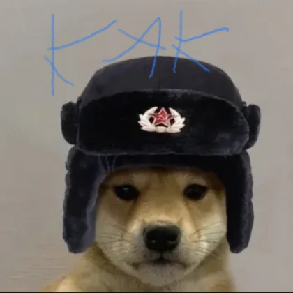 Russian speaking doge