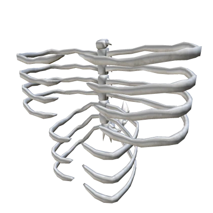 Skeleton Rib Cage And Spine In White | Roblox Item - Rolimon's