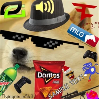 Omg Mlg Doge!!!