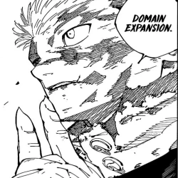 yuji itadori domain expansion