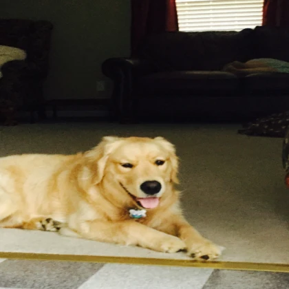 ruger