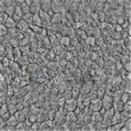 Stone texture