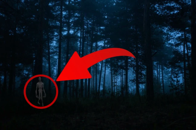 Bosque con SCP [¡HELICÓPTERO!] - Roblox