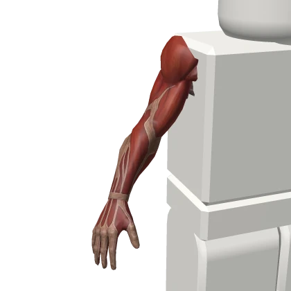 Armin Colossal Titan - Right Arm | Roblox Item - Rolimon's