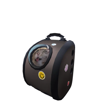 Rigby the cat Backpack | Roblox Item - Rolimon's