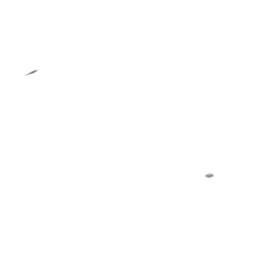 Kite
