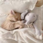 Epic Clothing INC TM - Roblox