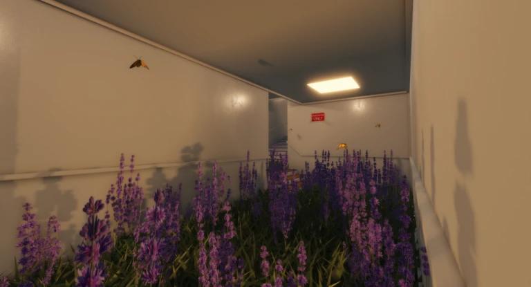 Espacio de Sueños - Roblox