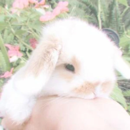 geometry dash type beat