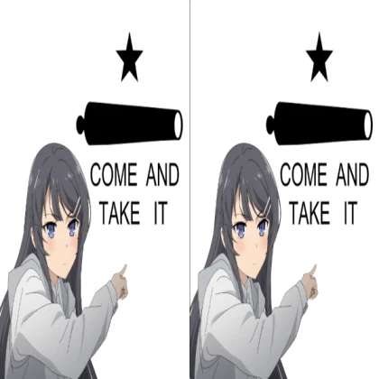 come and take it flag for waterloo