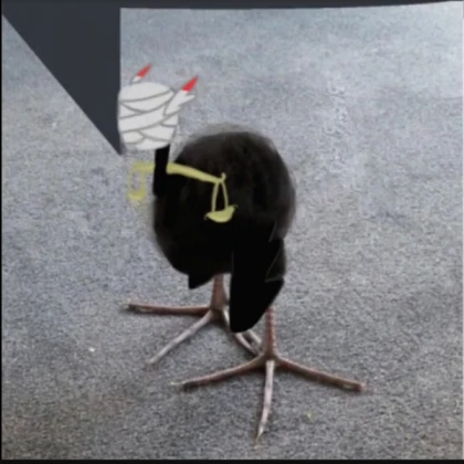 Judgement Bird