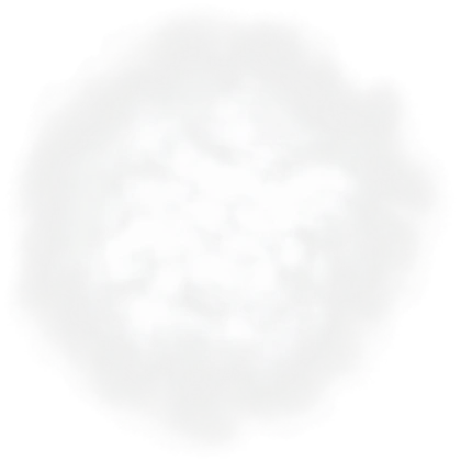 snow particle