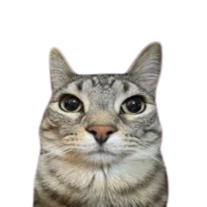 zazu transparent