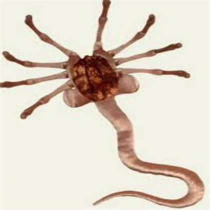 FaceHugger