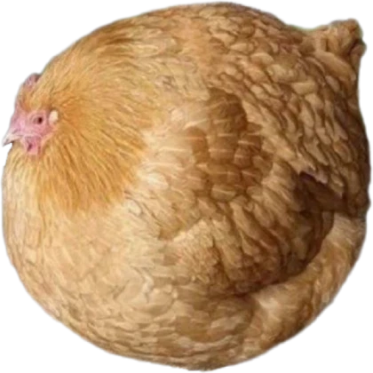 A spherical chicken.