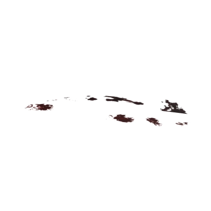 Asset Preview