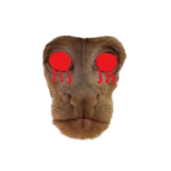 Capuchin Dave Horror Face