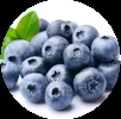 blueberry - Roblox