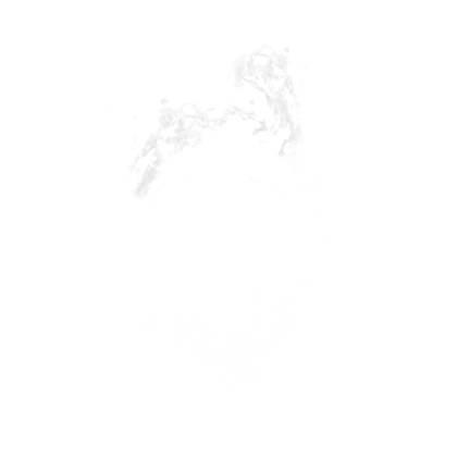 Destiny 2 Wipe Skull