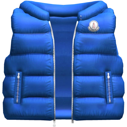 Designer Puffer Vest (Blue) | Roblox Item - Rolimon's