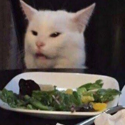 The Cat Meme ;)