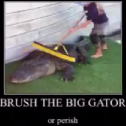 brush em