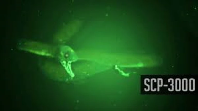 SCP-Bunga | Mainkan di Roblox