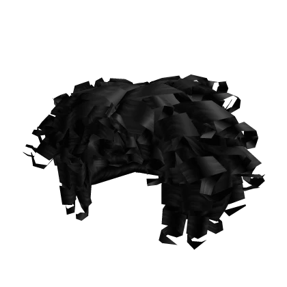 Curly Afro [Black] | Roblox Item - Rolimon's