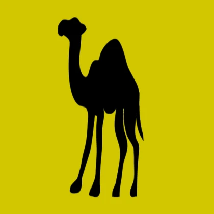 Camel flag