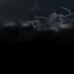 Asset Image