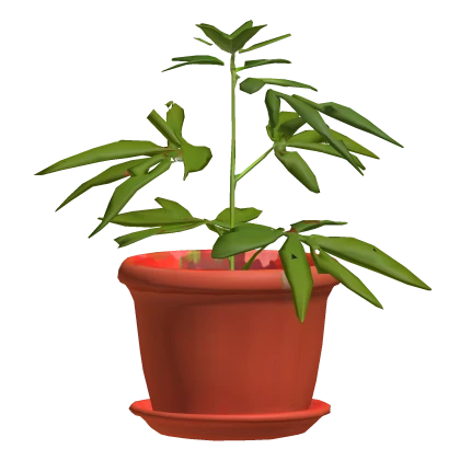 Plant Hat | Roblox Item - Rolimon's