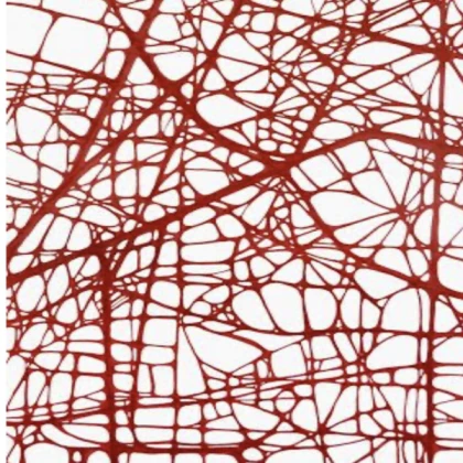 Red Net Texture