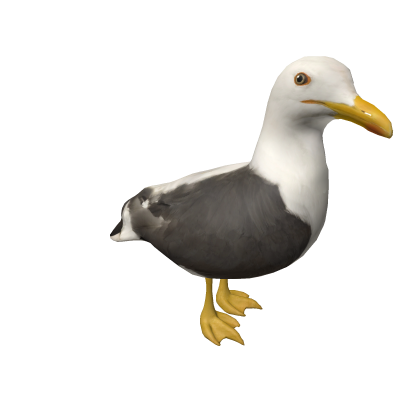 Möwe auf dem Kopf – Roblox