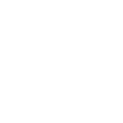 256x256 White Grid transparent