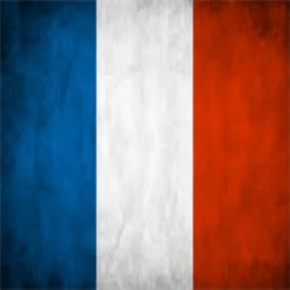 France Flag