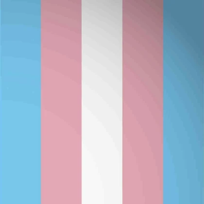 trans flag