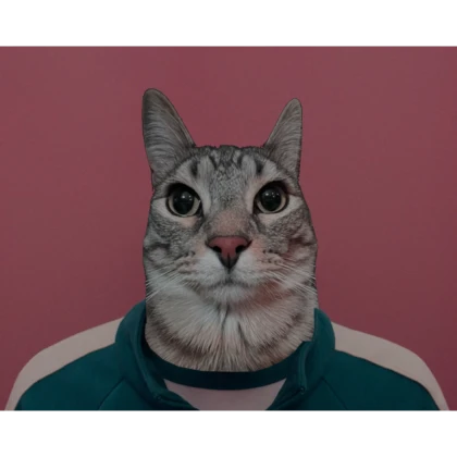 Zazu cat squid game meme pfp | Roblox Item - Rolimon's