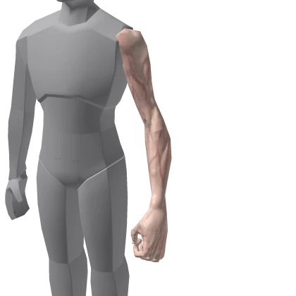 Faceless Man - Left Arm | Roblox Item - Rolimon's