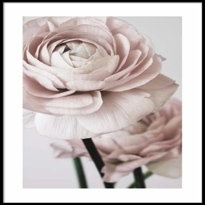 Pink Flower Dream No2 Poster