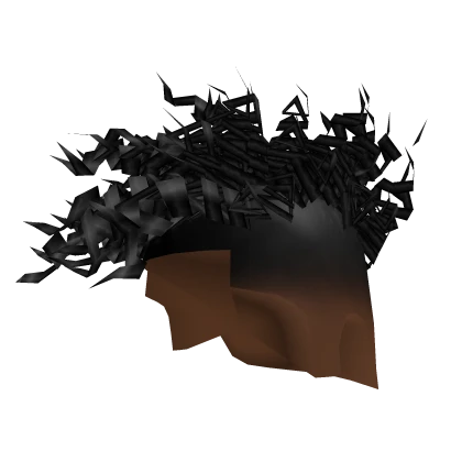 Messy Curly Fade [Black] | Roblox Item - Rolimon's