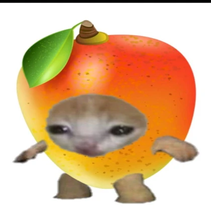 Mango cat :3