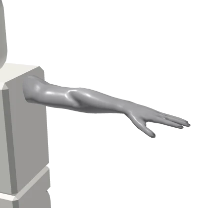 Muscular Female - Left Arm | Roblox Item - Rolimon's